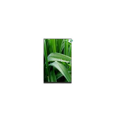 China P101DEA-AZ1 10.1 inch 800*1280 500 cd/m2 LCD Panel Screen for sale