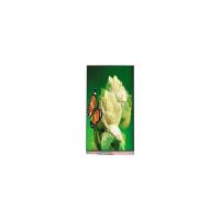 China P101KDA-AF0 1200*1920 10.1 inch 400 cd/m2 60Hz LCD Monitor for sale