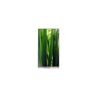 China in stock 1200*1920 P101KDA-AF4 10.1 inch WLED LCD Screen for sale
