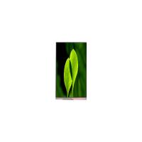 China P101LCA-3P1 10.1 inch 1920*1200 16.7M LCD Screen lcd Display for sale