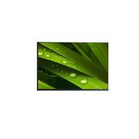 China ORIGINAL 12.0 inch P120ZDG-BF1 LCD Screen FOR Pad Tablet for sale