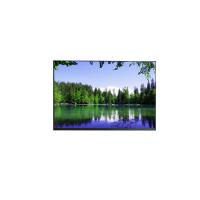 China P130AFA-CD1 2160*1350 13.0 inch WLED LCD Display Screen for sale
