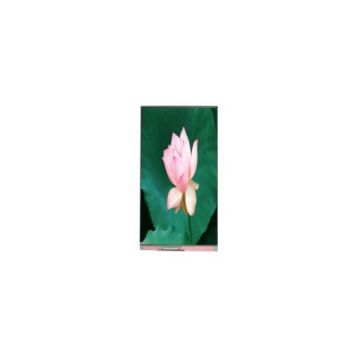 China PD064JC-06J 6.4 inch 720*1560 60Hz LCD Screen Monitor for sale
