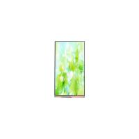 China 720*1612 PD066IA-04A 6.6 inch LCD Screen with Mobile Phone for sale