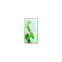 China MINI 5.0 inch 1080*1920 LCD screen PG050IC-03C LCD monitor for sale