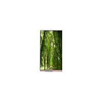 China PJ050IA-05L 5.0 inch 720*1280 LCD screen for Mobile Phone for sale