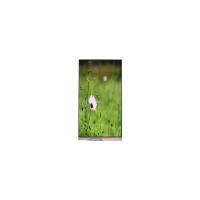 China in stock 5.0 inch PJ050IA-14A 720*1280 34 pins LCD screen for sale