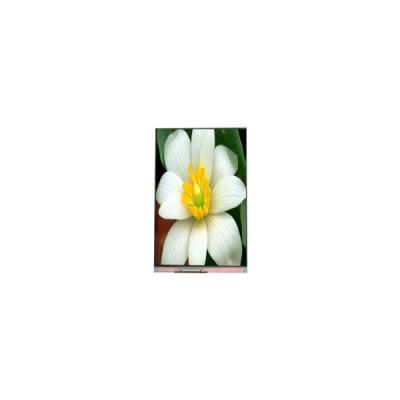 China PJ052IC-01C 5.2 inch 1080*1920 LCD screen Display Panel for sale
