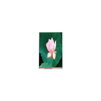 China 1080*1920 PJ055IA-14A 5.5 inch 60Hz LCD screen LCD Module for sale