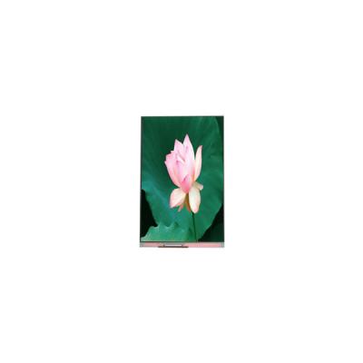 China 1080*1920 PJ055IA-14A 5.5 inch 60Hz LCD screen LCD Module for sale
