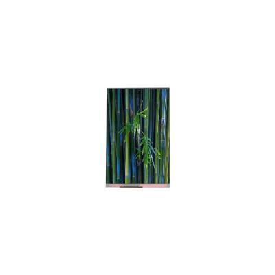 China Original 1080*1920 PJ055IC-02M 5.5 inch WLED LCD screen Parts for sale