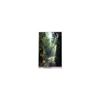 China 5.2 inch 1080*1920 PM052IC-01L 1000:1 LCD screen Panel for sale