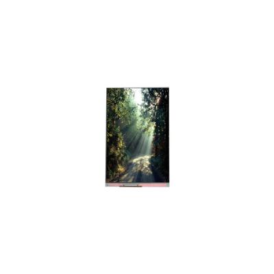China 5.2 inch 1080*1920 PM052IC-01L 1000:1 LCD screen Panel for sale