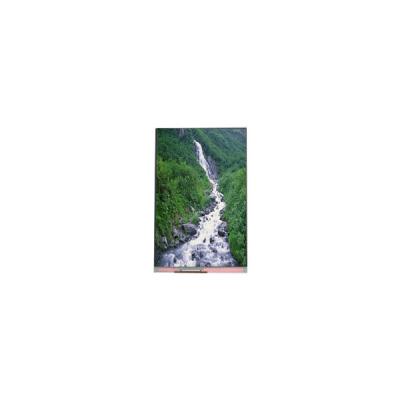 China Hot Sell 4.7 inch PP047IA-03A 540*960 LCD Panel screen for sale