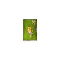 China PP050IA-03B MINI 5.0 inch 1080*1920 LCD Panel LCD display for sale