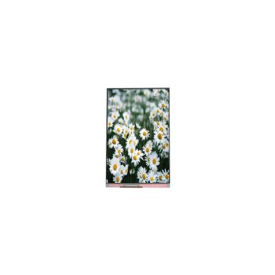 China original 1440*2560 PP055IA-09A 5.5 inch LCD display Screen for sale