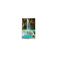China NEW 5.5 inch PP055IC-01D 1080*1920 60Hz LCD Screen Monitor for sale