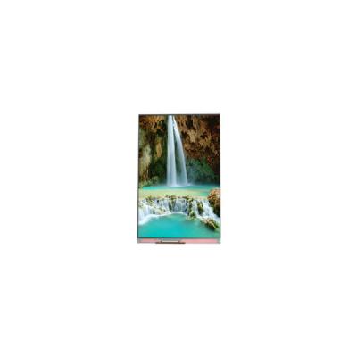 China NEW 5.5 inch PP055IC-01D 1080*1920 60Hz LCD Screen Monitor for sale