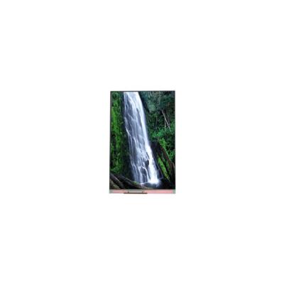 China PP055IC-07A 5.5 inch 1080*1920 LCD Screen with Mobile Phone for sale