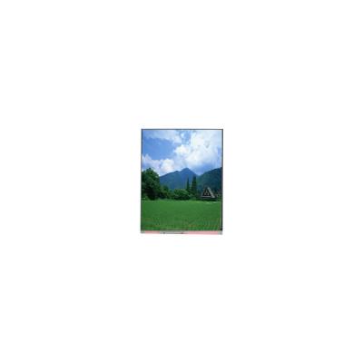 China PP057IC-01A 5.7 inch 1080*1920 LCD Screen lcd Panel for sale