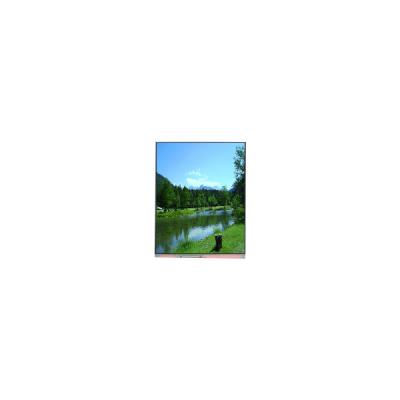 China PP059JC-01B 1080*2160 5.9 inch LCD Screen New for sale