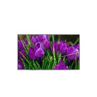China B116HAT01.0  11.6 inch original tft lcd Laptop panel for sale