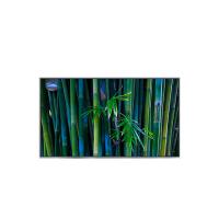 China B116XAT01.0 11.6 inch 1366*768 tft lcd display module for sale