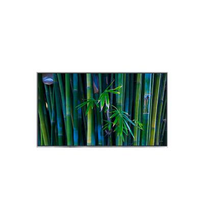 China B116XAT01.0 11.6 inch 1366*768 tft lcd display module for sale