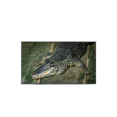 China B133EW01 V7 13.3 inch 1280*800 LCD Display Panel For Laptop for sale