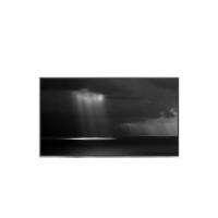 China B133EW01 V8 13.3 inch 1280*800 LCD Display Panel For Laptop for sale
