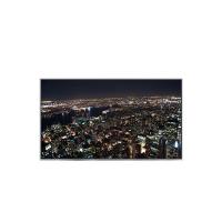 China B133HAN04.3 a-si TFT-LCD 13.3 inch 1920*1080 FHD LCD Display for sale