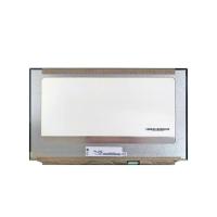 China B173ZAN03.4 17.3 inch tft lcd panel replacement for sale