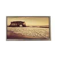 China C080VTN03.3 8.0  inch 800*480 tft LCD Display Module for sale