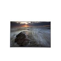 China M190PW02 V0 19.0 inch LCD Panel Module 1440*900 LCD Screen Display for sale