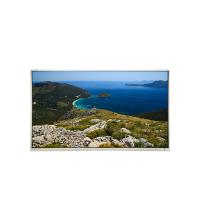 China M215HW03 V1QA 21.5 inch 1920*1080 LCD Display Screen for sale