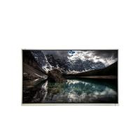 China M238DAN01.1QN NEW 23.8 inch LCD Display LCD Screen for sale