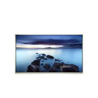 China M238DAN01.8 23.8 inch LCD Panel Module 2560*1440 LCD Screen Display for sale