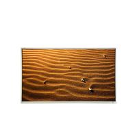 China M238DTN01.7 23.8 inch 2560*1440 LCD Display Screen for sale