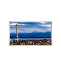 China M238HAN03.R 23.8 inch 1920*1080 LCD Panel LCD Screen Display for sale