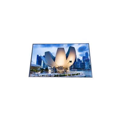 China M320DAN02.5 NEW 32.0 inch LCD Panel 2560*1440 LCD Display for sale
