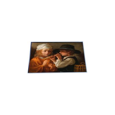 China P157RAN02.0 15.7 inch 960*960 TFT LCD Panel Display for sale