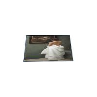 China P215HAN02.0 21.5 inch 1080p LCD Panel Display for sale