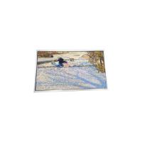 China P215HVN01.2 21.5 Inch TFT LCD Screen 1920*1080 LCD Panel for sale