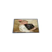 China P290IAN01.0 28.6 inch 1920*540 LCD Screen Display Panel for sale