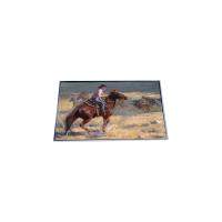 China P294IVN01.1 29.4 inch 1920*720 LCD Screen panel for sale