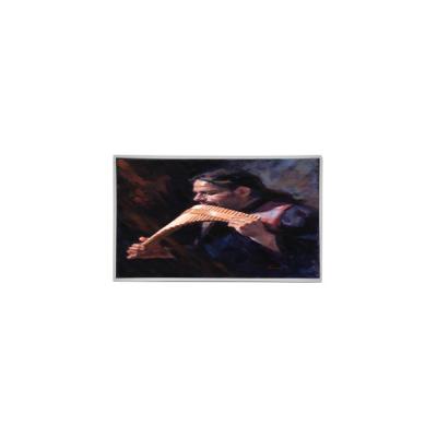 China P320HVN04.6 32.0 inch LCD Panel Display 1920*1080 Screen for sale