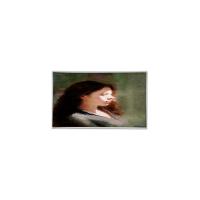 China P353KVN01.0 35.3 inch 1600*1800 LCD Display Screen for Digital Signage for sale