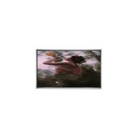 China P420HVN02.0 LCD Module 42.0 inch 1920*1080 LCD display for sale