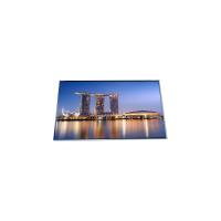 China P420IVN01.1 42.0 inch 1920*480 tft LCD Panel Display for sale