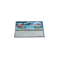 China P500HVN02.0 50.0 inch 1920*1080 tft LCD Screen Display for sale